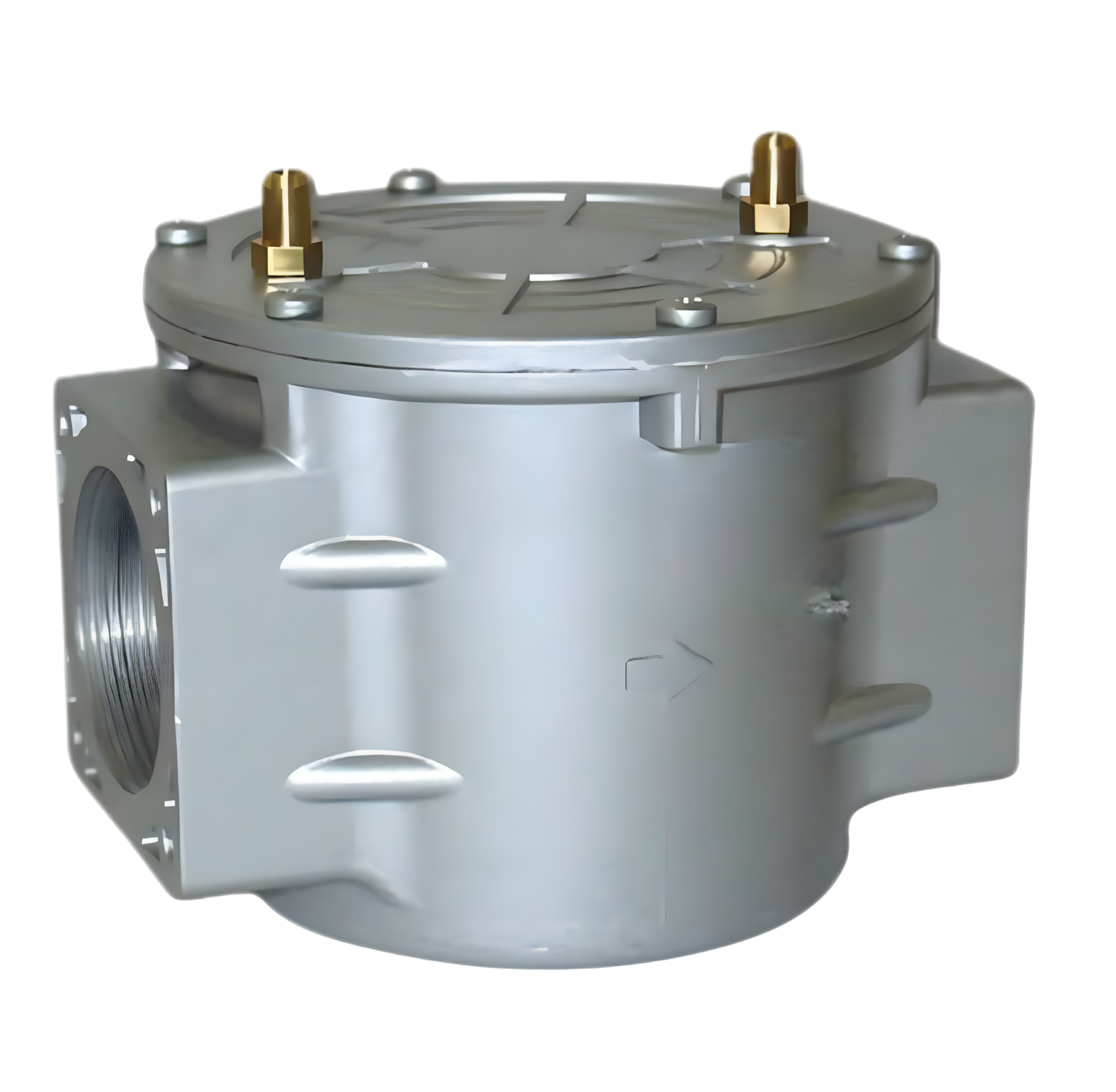 Boldrin Cartridge Gas Filter – FGM Series