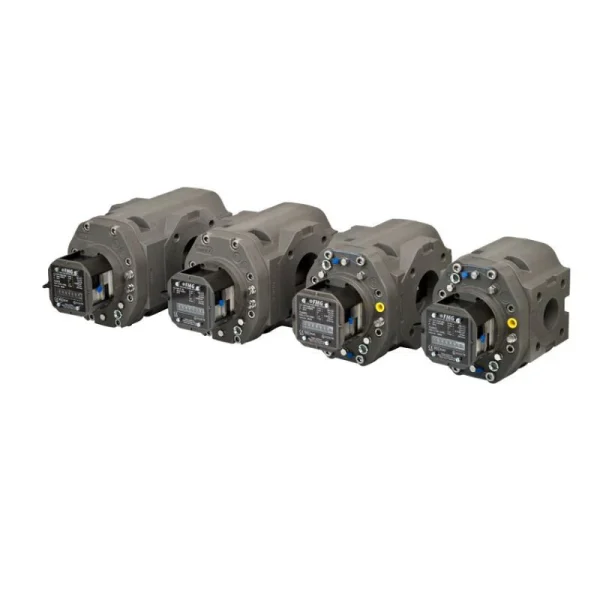 FMG Rotary Gas Meters FMR Series