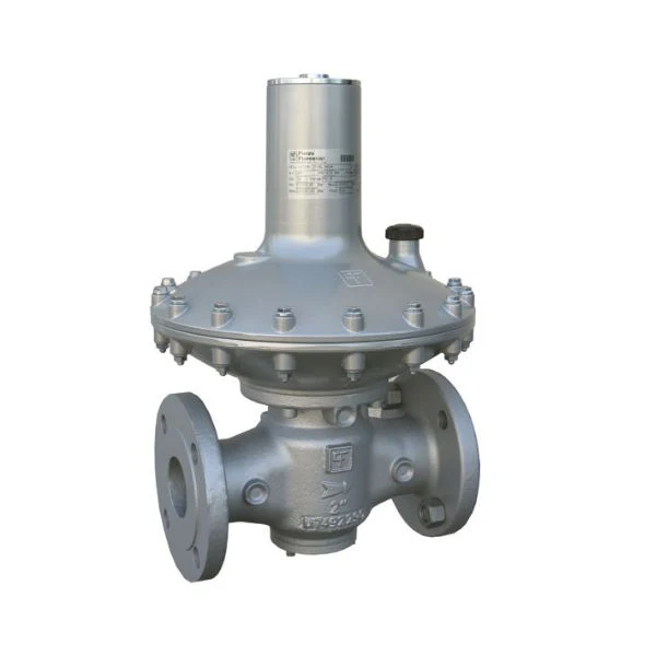 Pietro Fiorentini Gas Pressure Regulator DIVAL 600