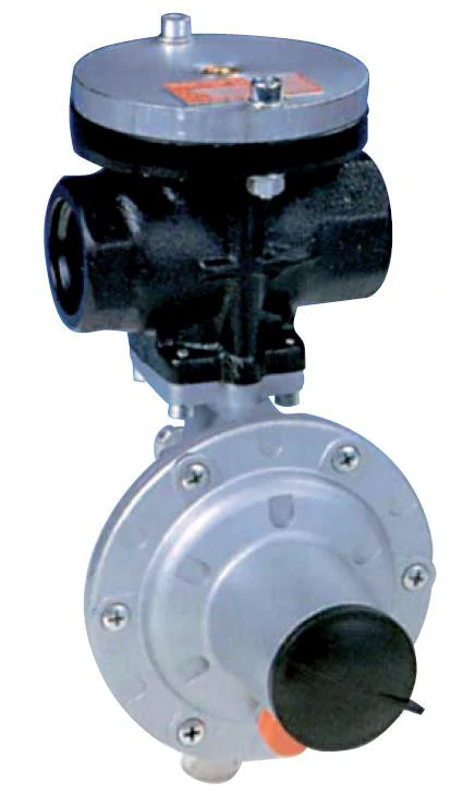 Pietro Fiorentini Slam Shut Valve DILOCK – High-Performance Industrial ...